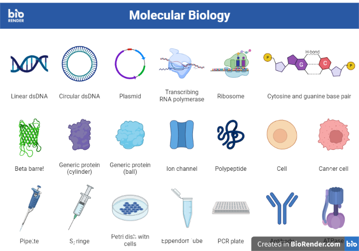 Introduction to Molecular Biology