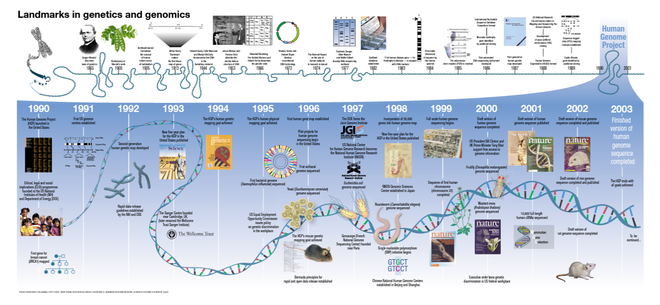 Human Genome Project (HGP) - Overview