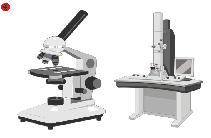 Light Microscopy Vs Electron Microscopy - Understanding the Differences ...