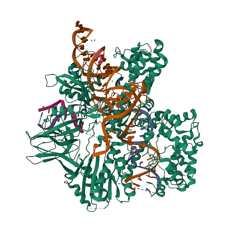 Crispr Clustered Regularly Interspaced Short Palindromic Repeats